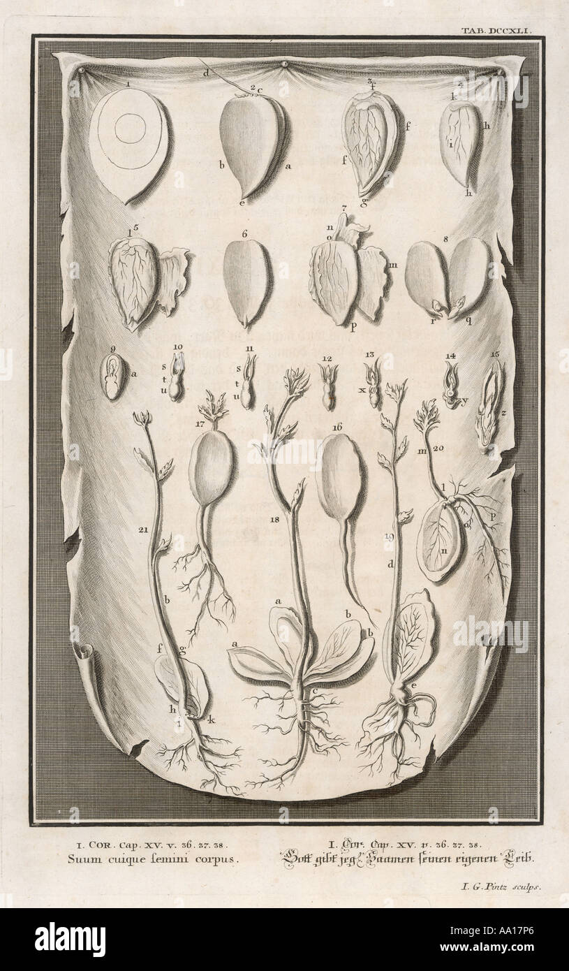 Except hi-res stock photography and images - Alamy