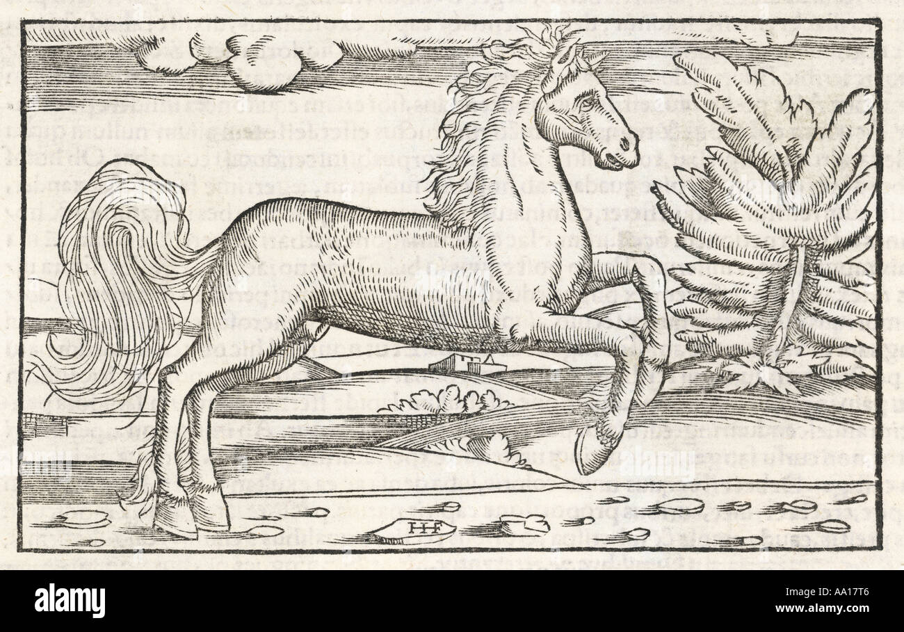 Alexander the great horse bucephalus hi-res stock photography and ...