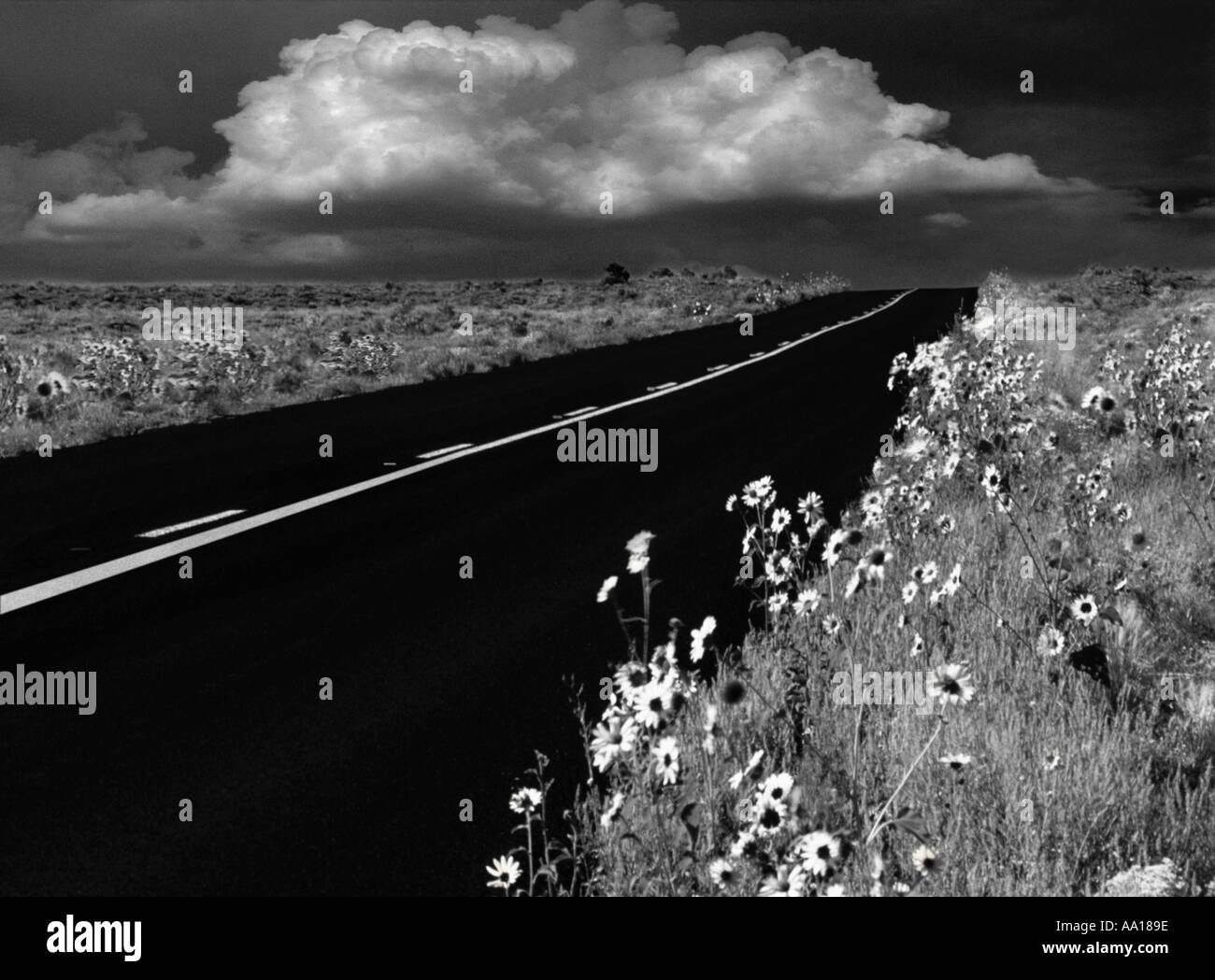 Roadside country countryside rural Black and White Stock Photos ...