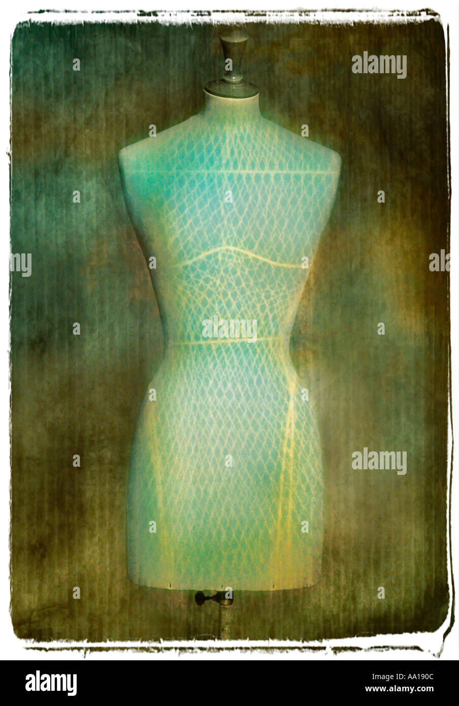 Tailor s female dress form with interior structure showing through ...