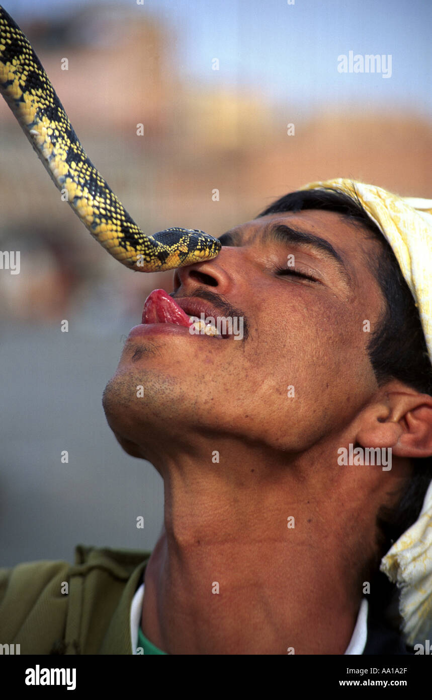 Morocco North Jemaa el Fna Snake Charmer Stock Photo - Alamy