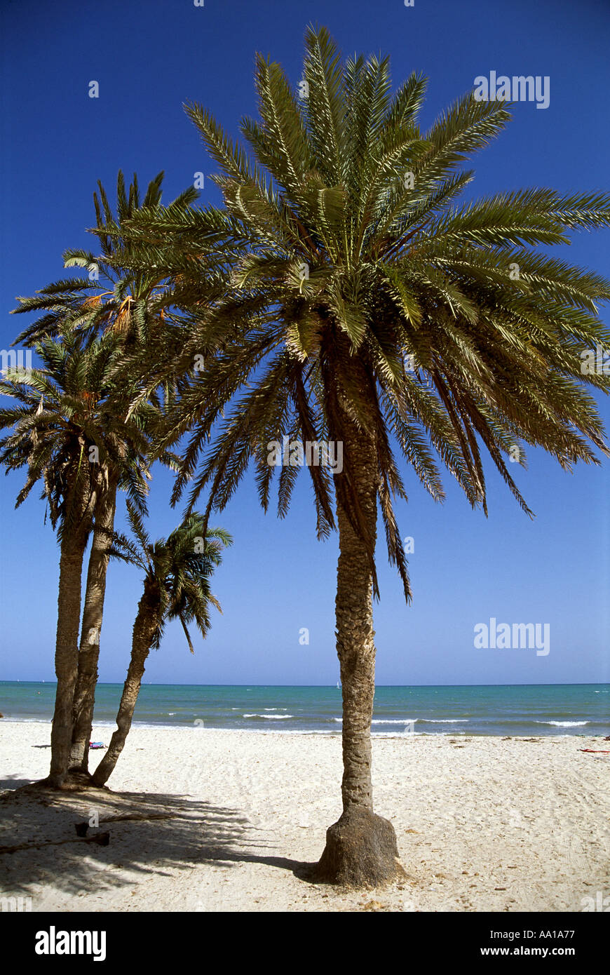 Tunisia Djerba Beach Stock Photo - Alamy