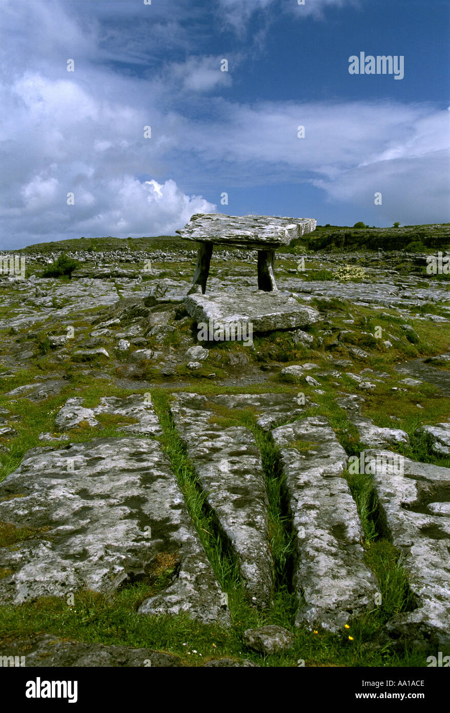 Ireland The Burren Cliffs of Moher Stock Photo - Alamy