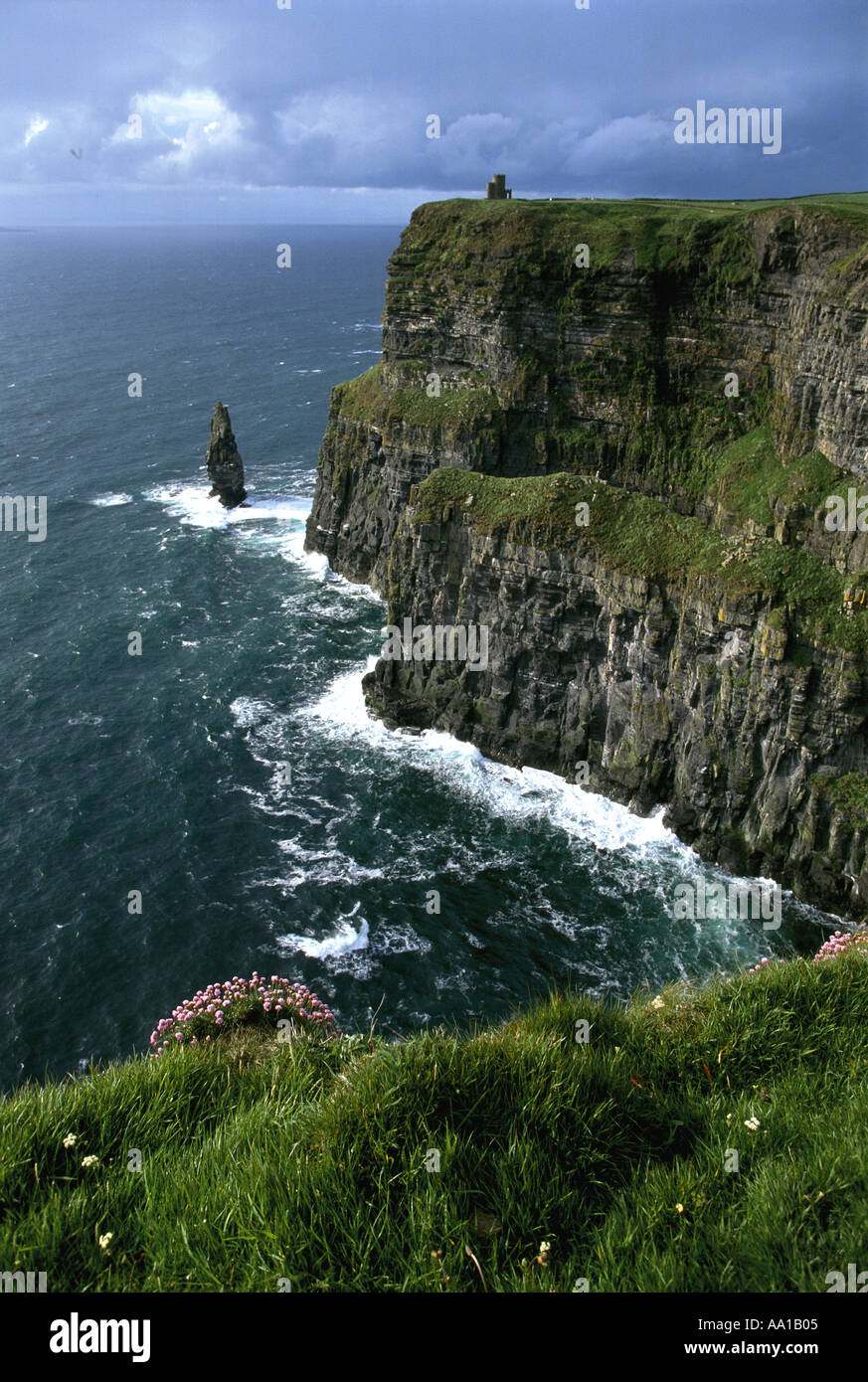 Ireland The Burren Cliffs of Moher Stock Photo - Alamy