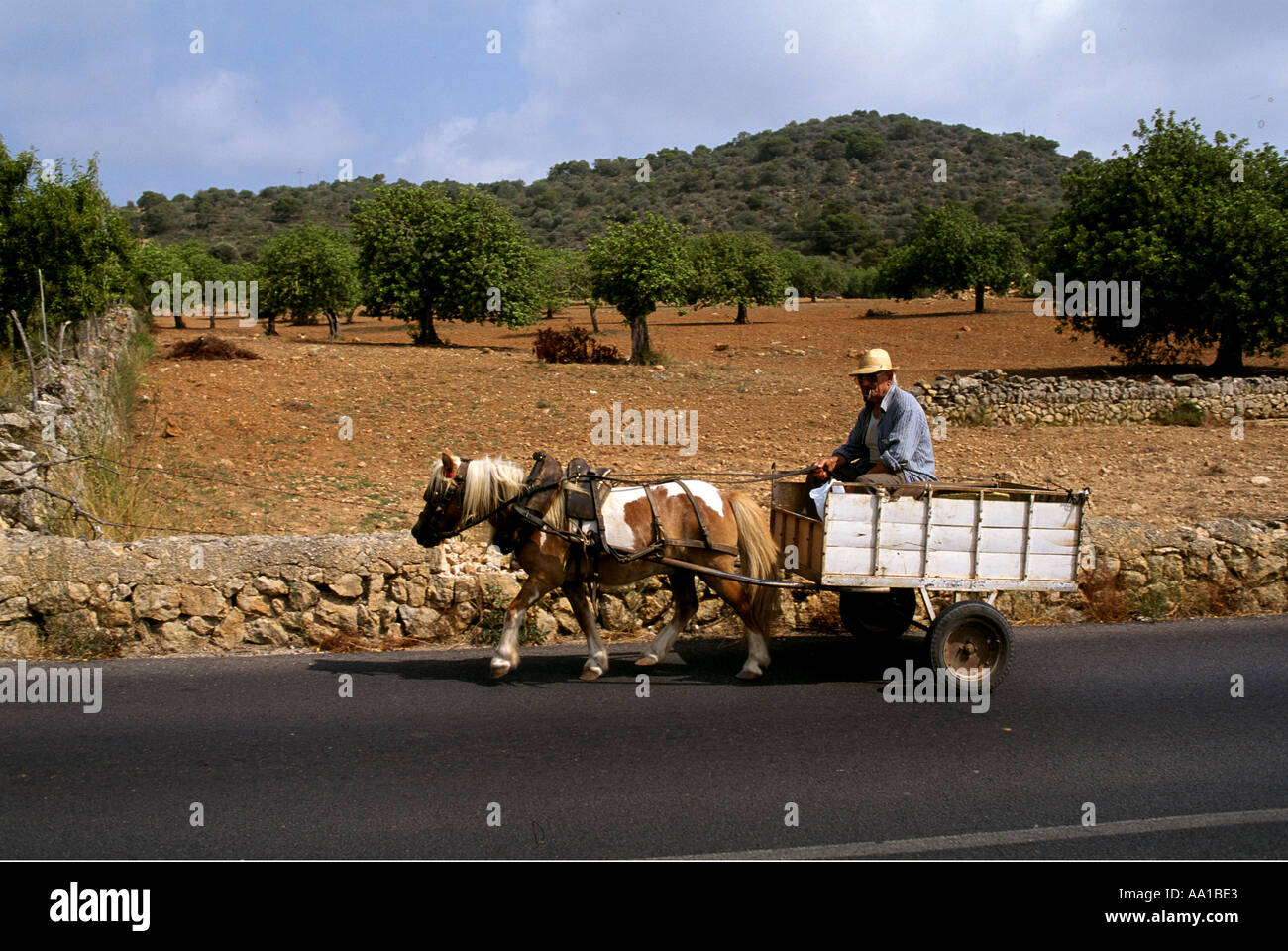 Arbre animal europe hi-res stock photography and images - Alamy