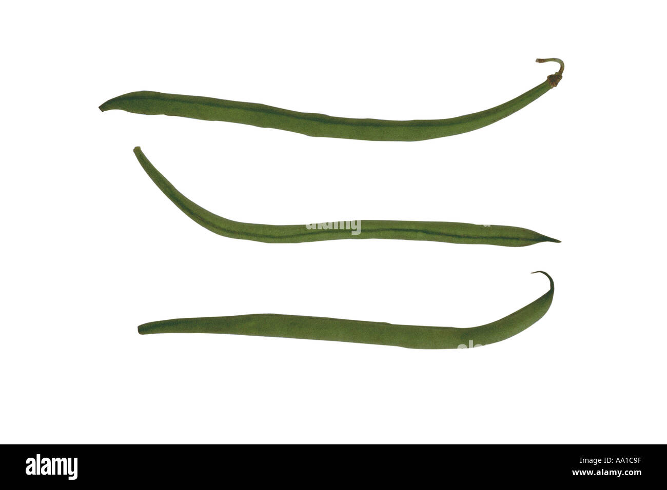 French string bean Stock Photo - Alamy
