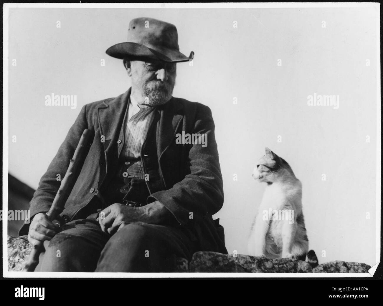 Old Man Cat Stock Photo - Alamy