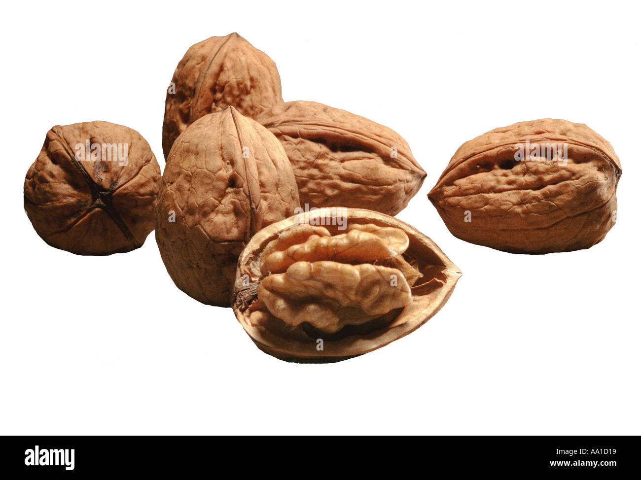 Noisettes Cut Out Stock Images & Pictures - Alamy