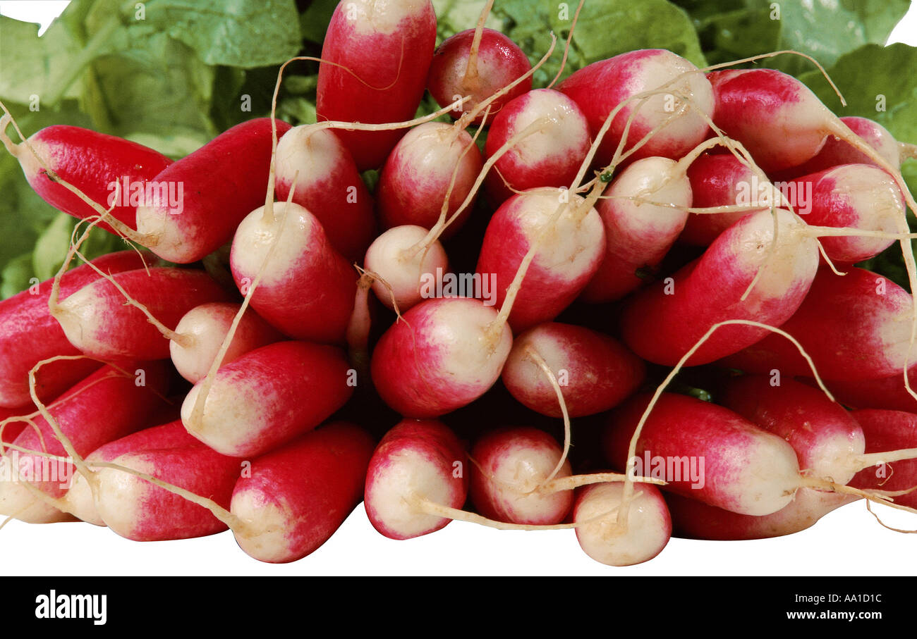 V178 hi-res stock photography and images - Alamy