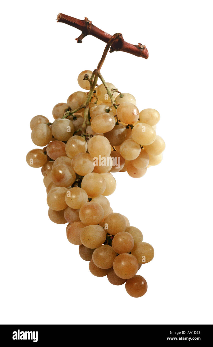 Bunch of Grapes Stock Photo - Alamy