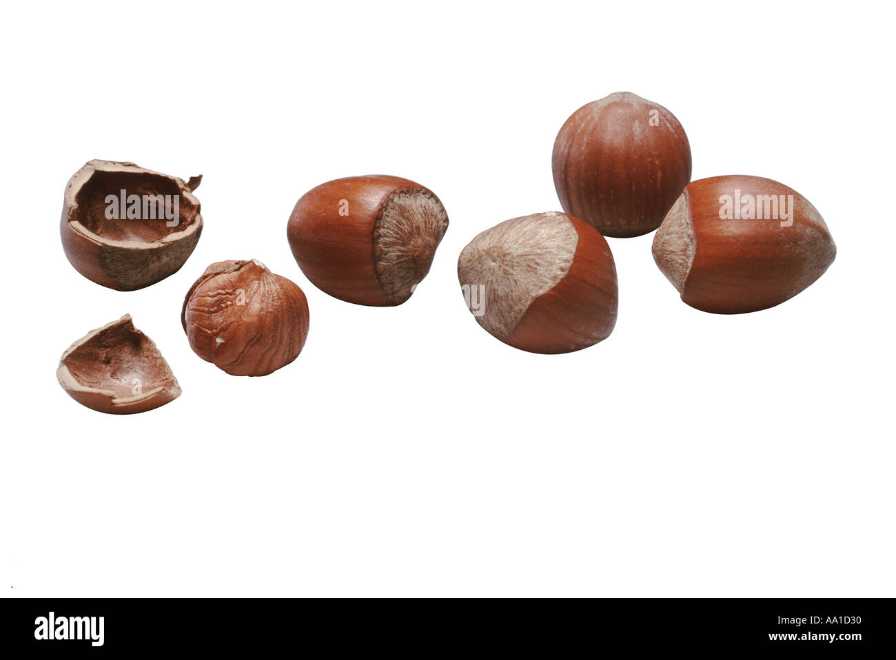 Noisettes Cut Out Stock Images & Pictures - Alamy