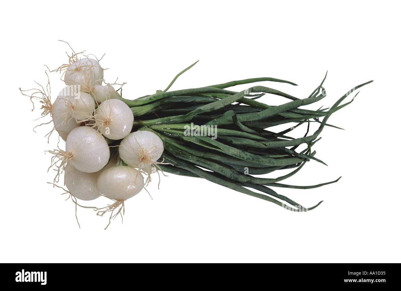 Petits oignons hi-res stock photography and images - Alamy