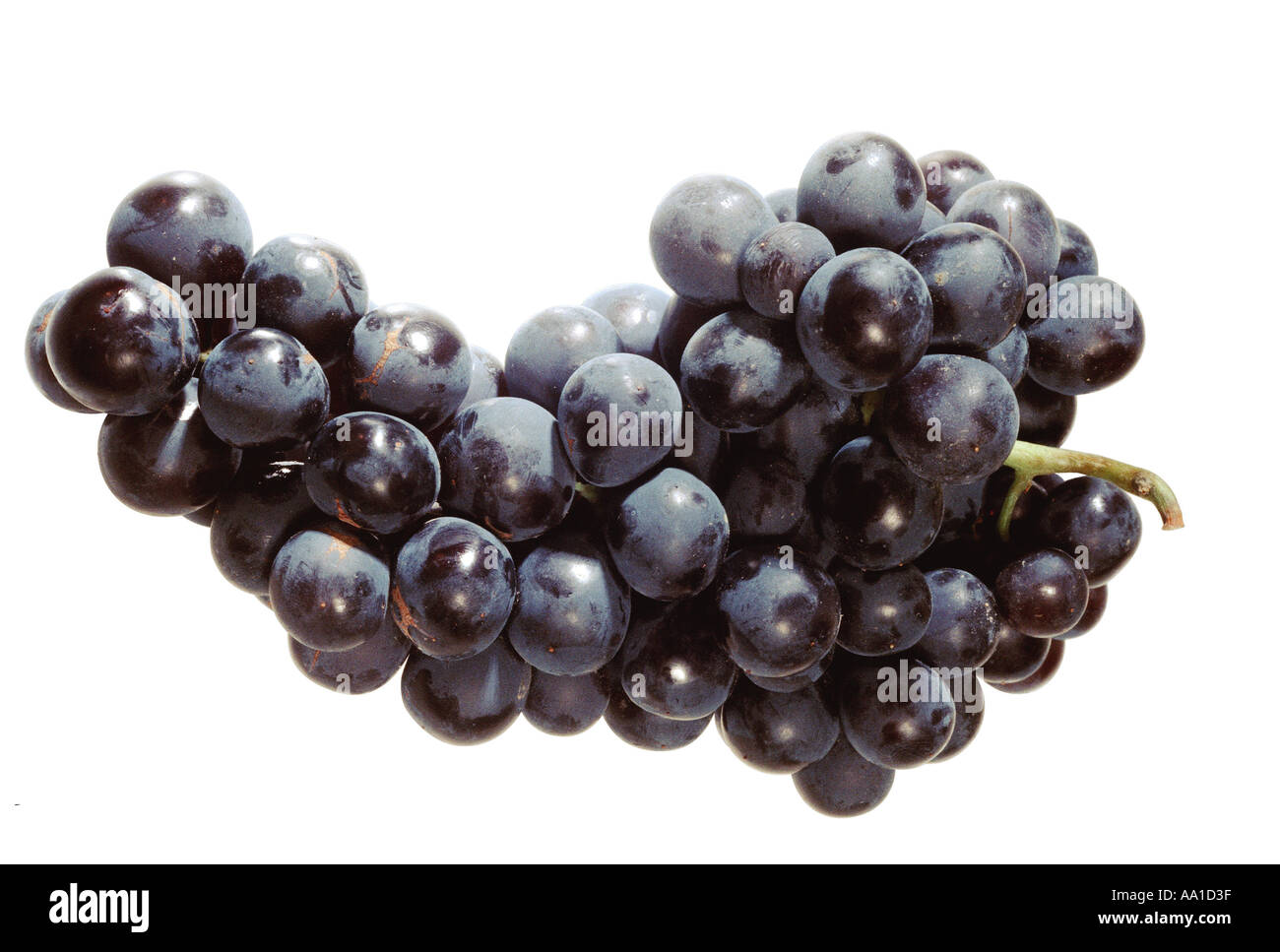 Bunch of Grapes Stock Photo - Alamy