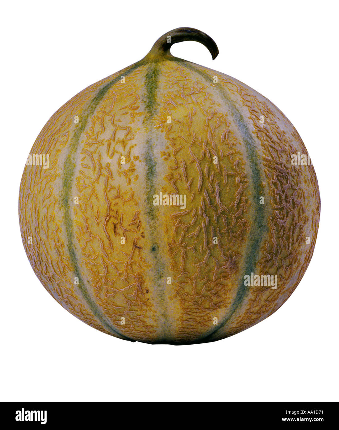 V227 Cut Out Stock Images & Pictures - Alamy