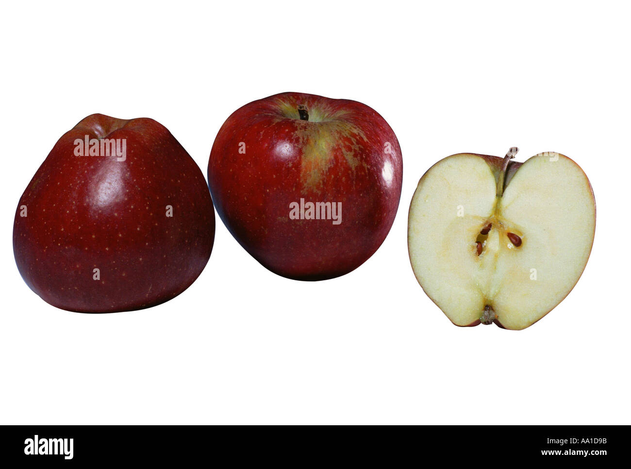 Early redone apple Stock Photo - Alamy