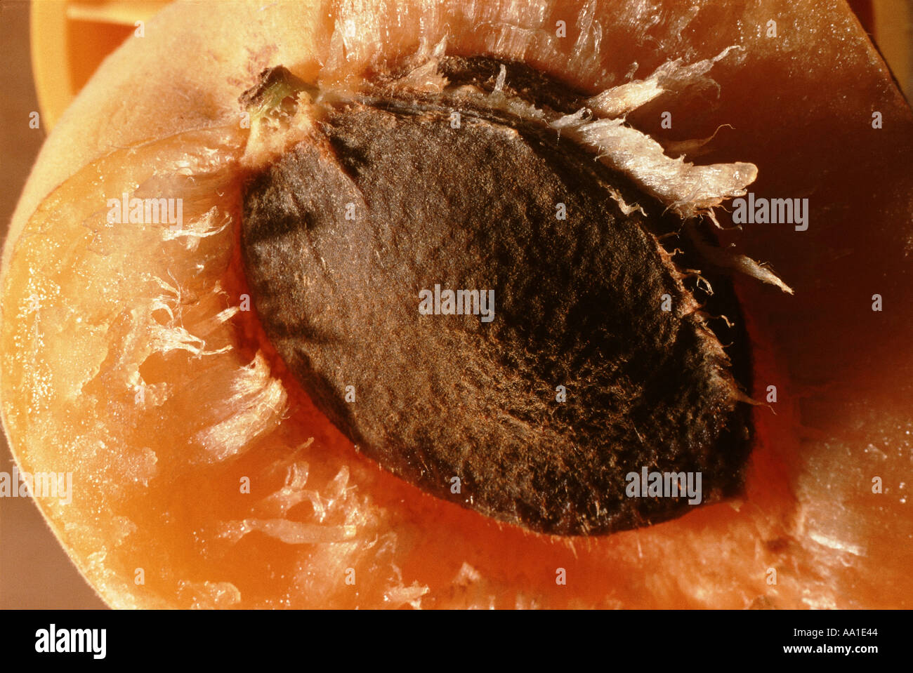 Legumes et fruits jaune hi-res stock photography and images - Alamy