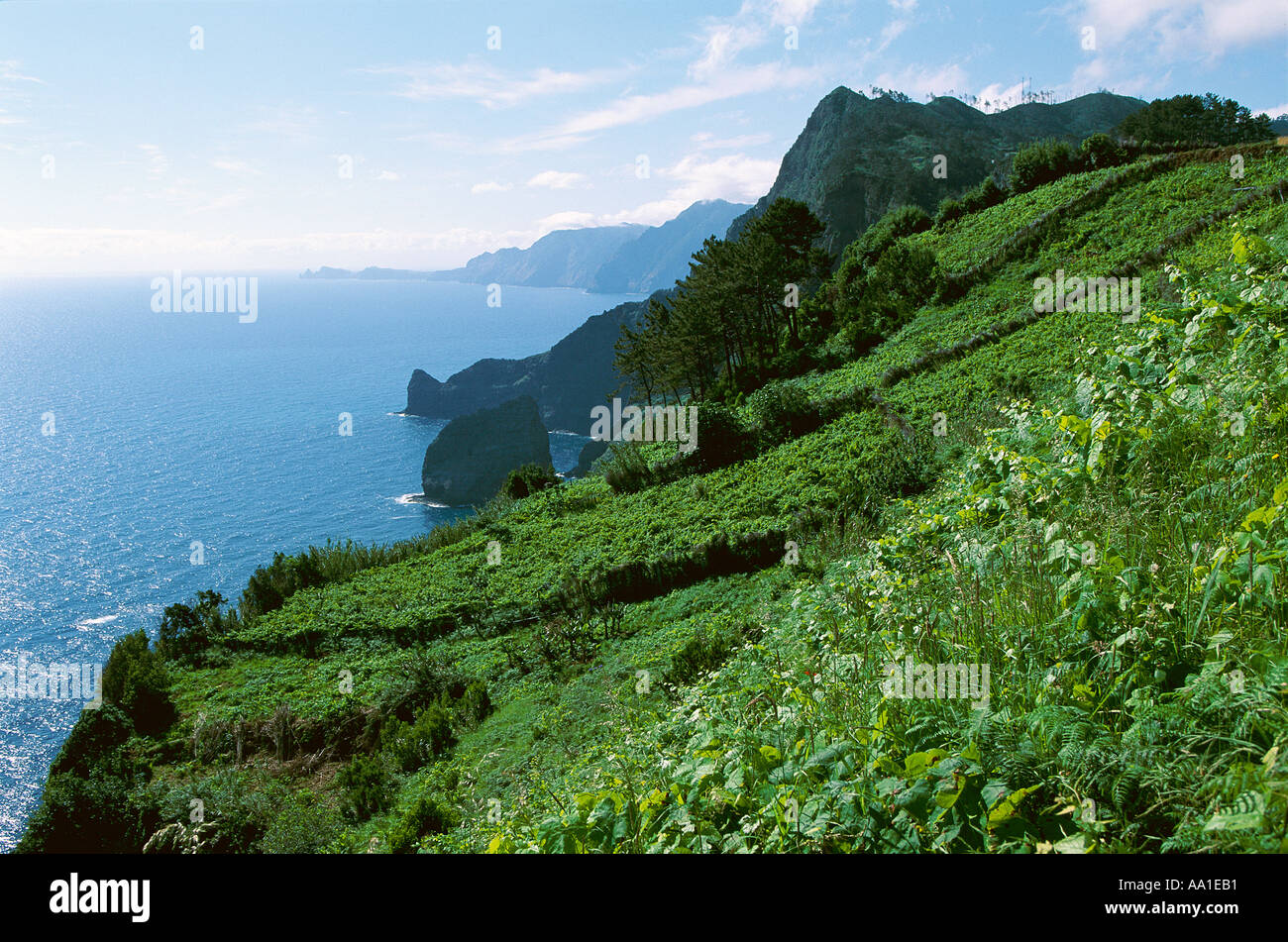 Cultures en terrasses hi-res stock photography and images - Alamy