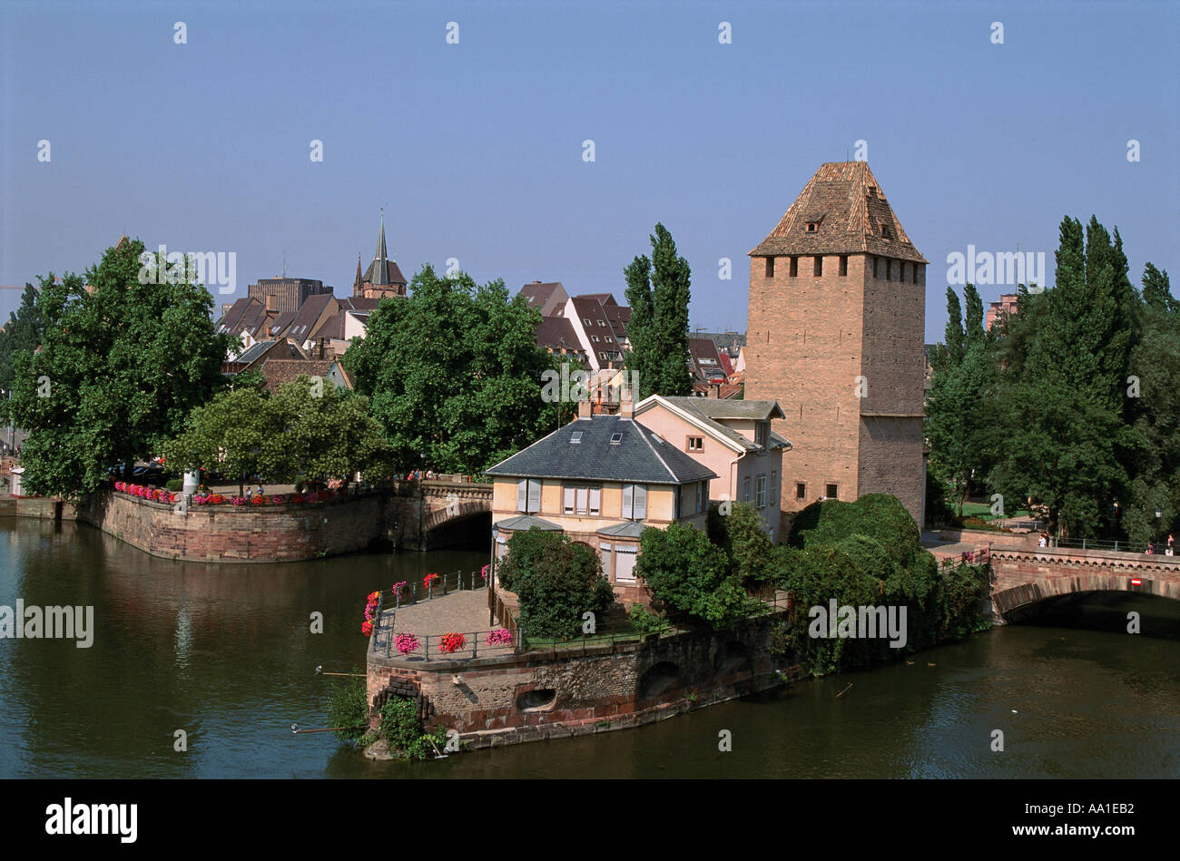 Bas bleu hi-res stock photography and images - Alamy