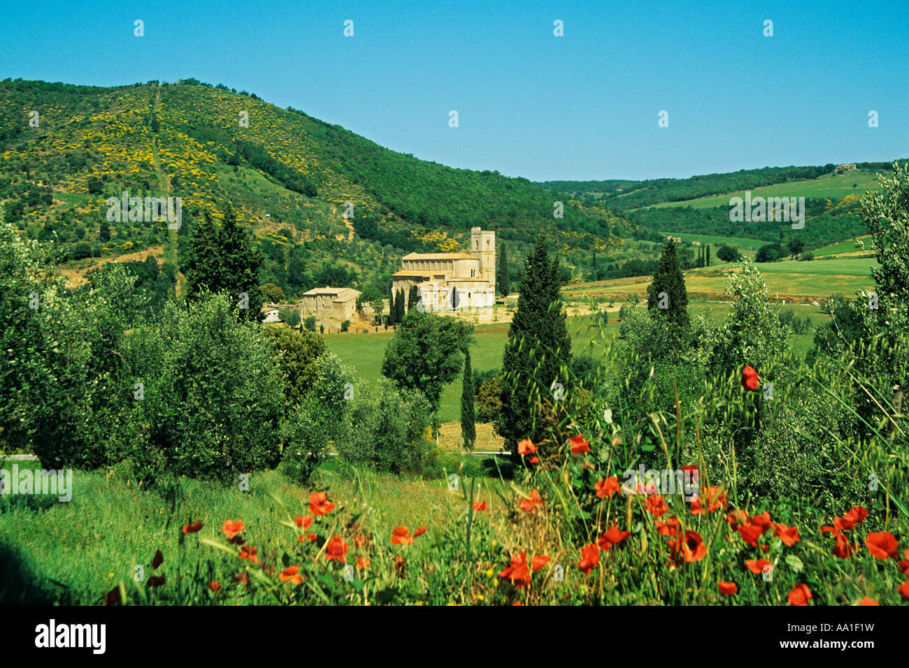 San antimo abbey tuscany Stock Photo - Alamy