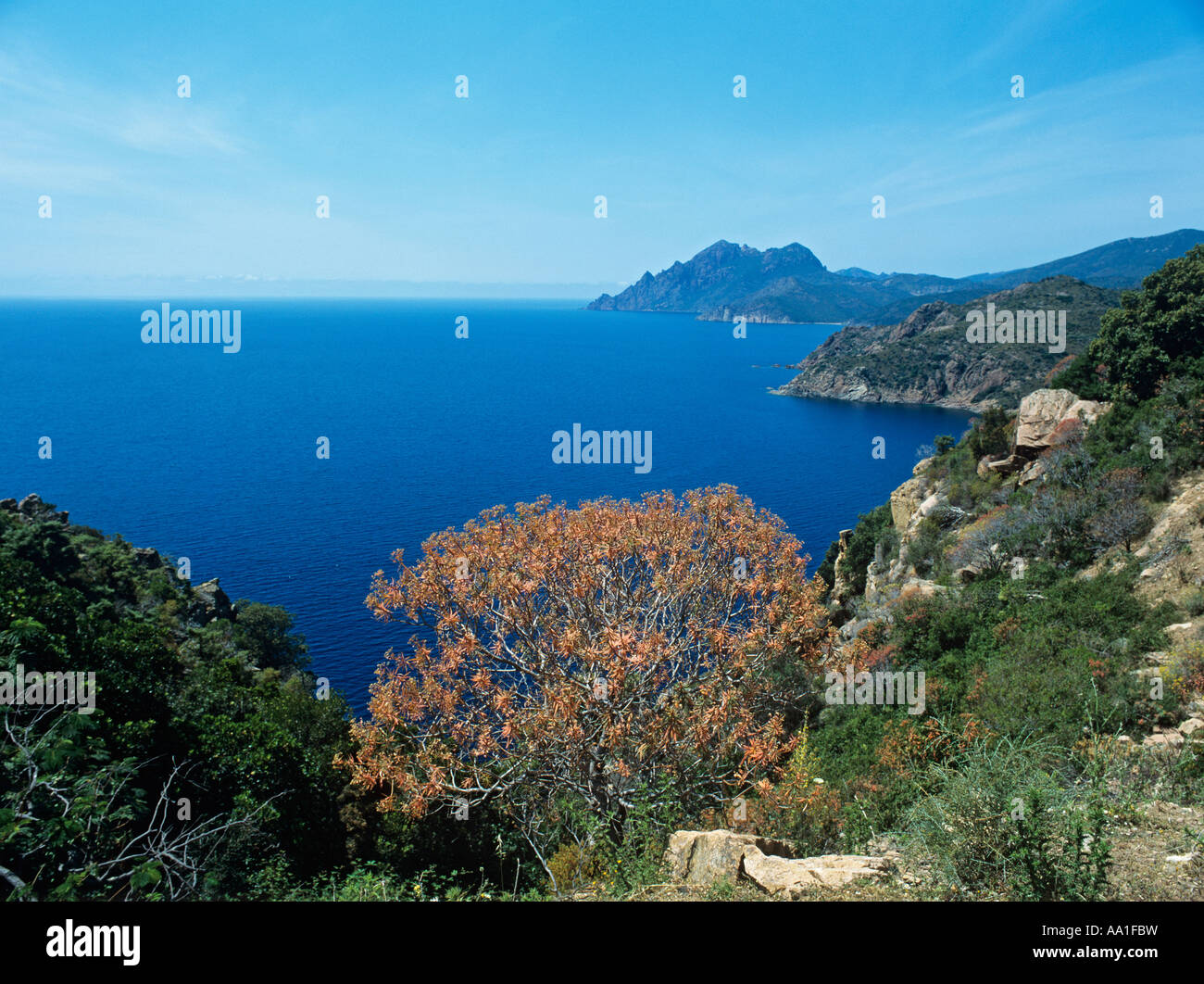 Corsican culture hi-res stock photography and images - Alamy
