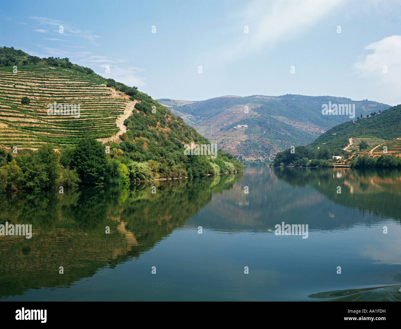 Douro river and valley Stock Photo - Alamy