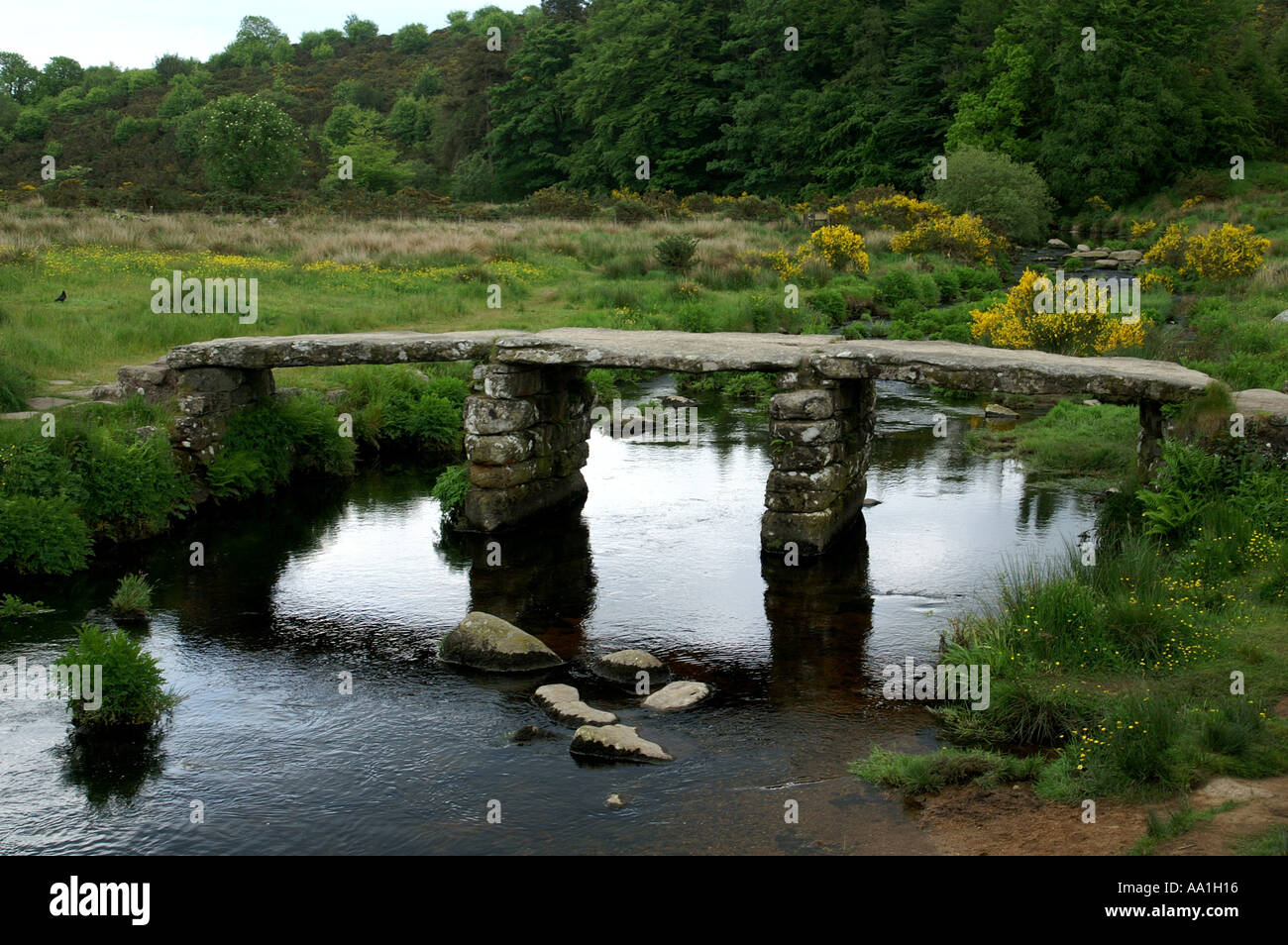 The medieval clapper bridge at Postbridge in Dartmoor National Park ...