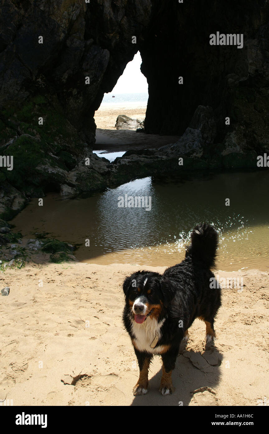 Hole through cliff Pobble beach Mumbles South Gower peninsula Glamorgan ...
