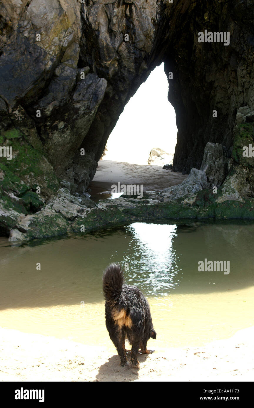 Hole through cliff Pobble beach Mumbles South Gower peninsula Glamorgan ...