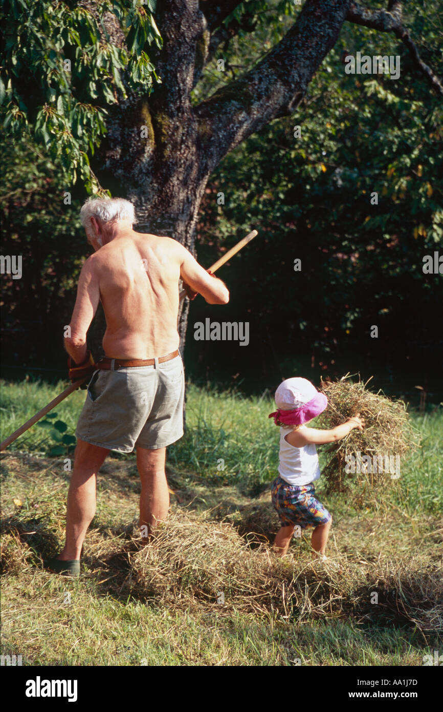Old man raking grass hi-res stock photography and images - Alamy