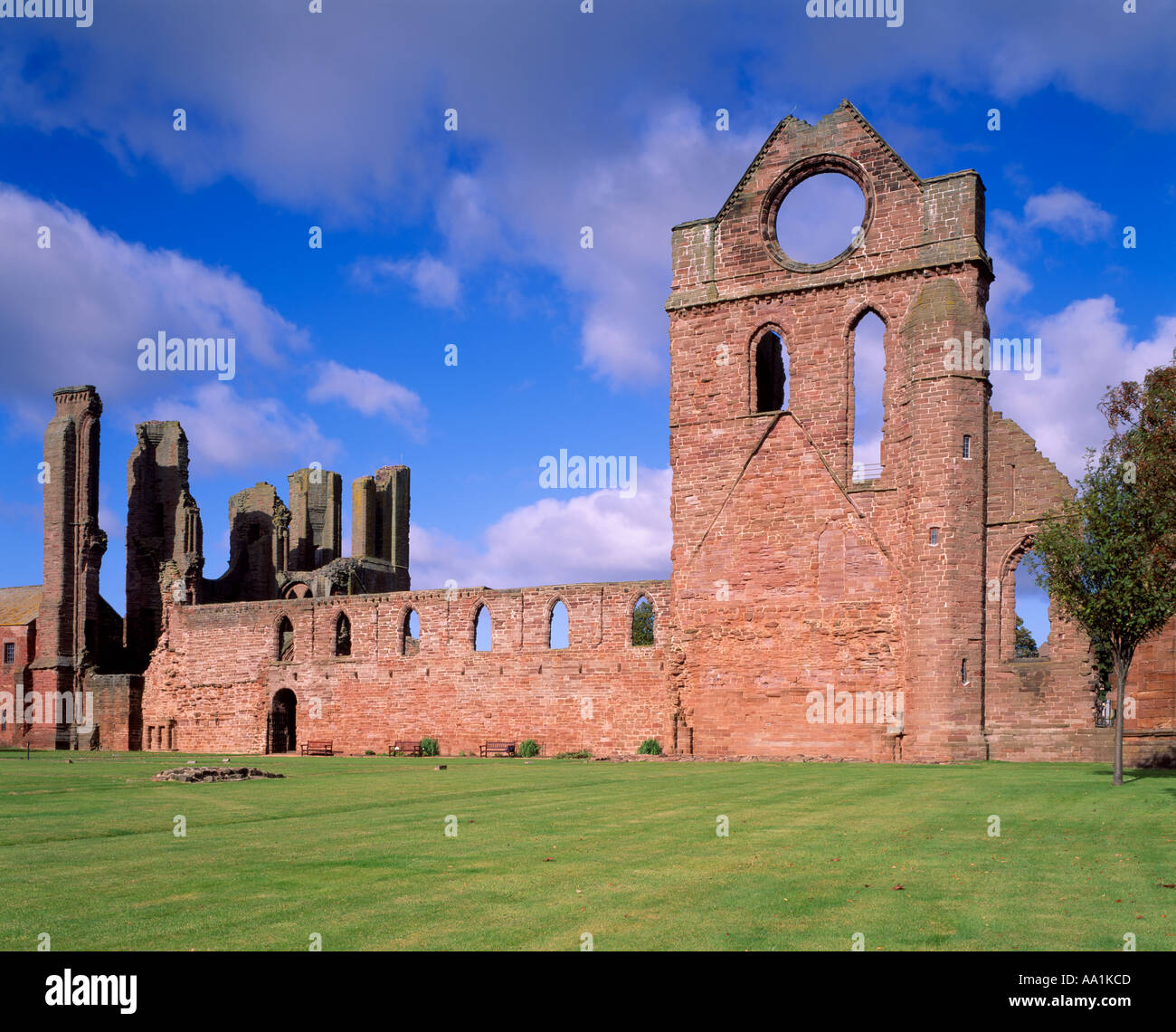 Arbroath abbey hi-res stock photography and images - Alamy