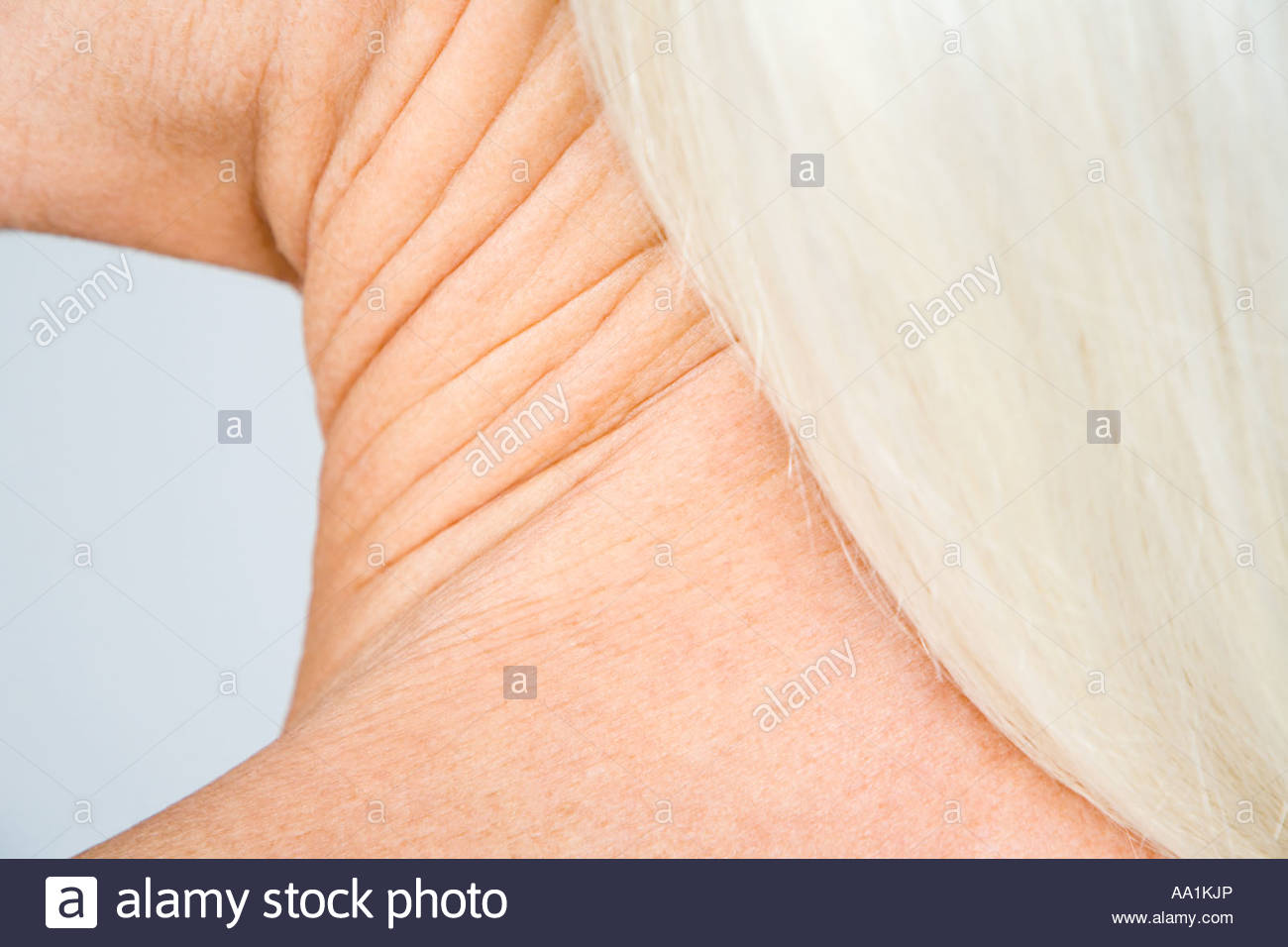 Human Neck Anatomy Stock Photos & Human Neck Anatomy Stock Images - Alamy