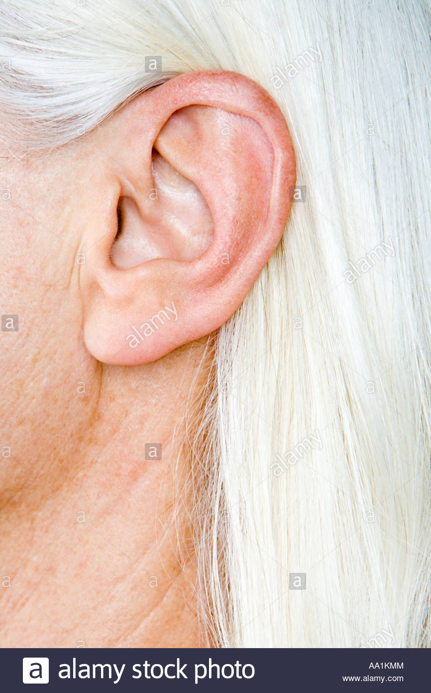 Female Anatomy Stock Photos & Female Anatomy Stock Images - Alamy