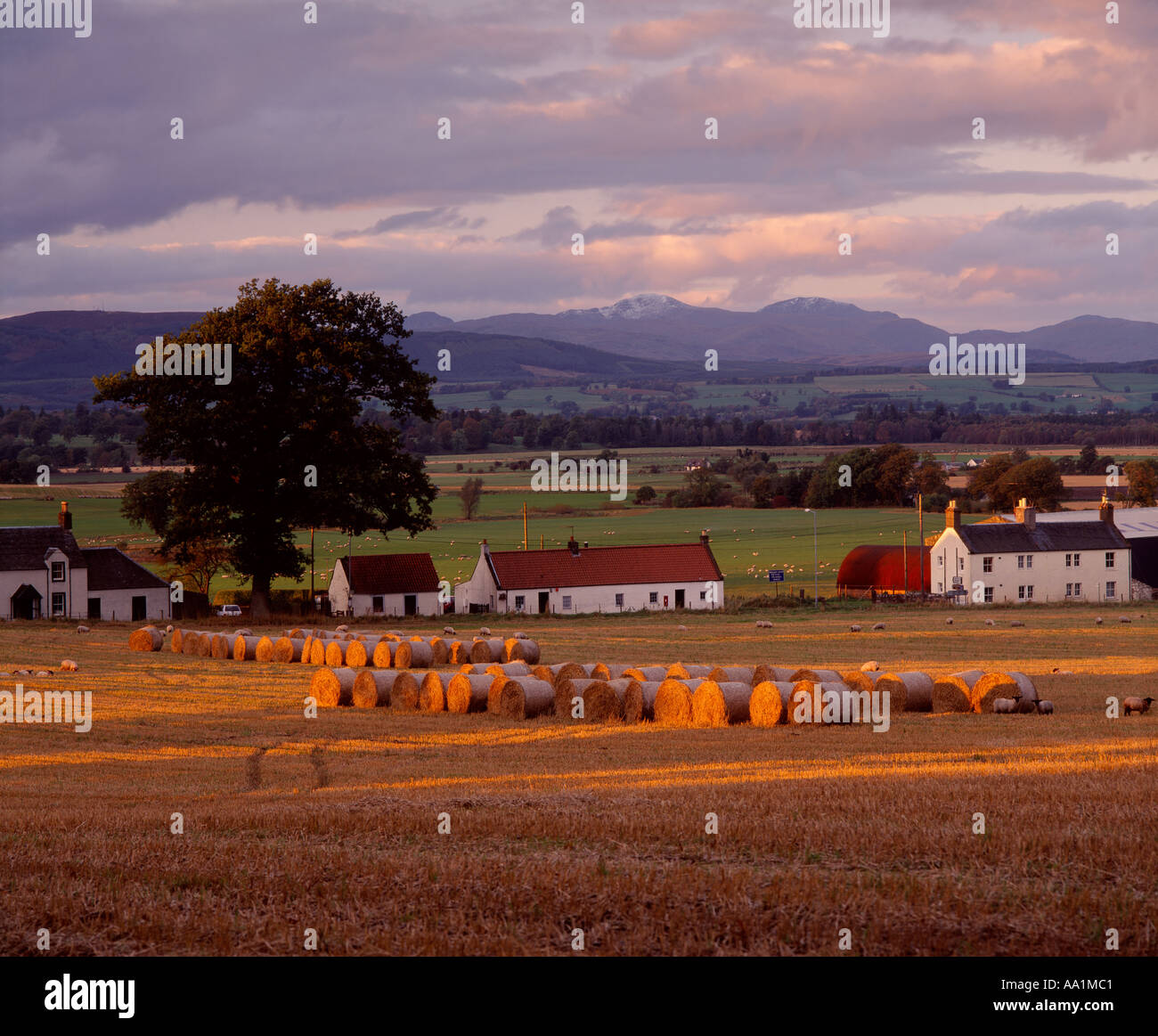 Arnprior, Stirling, Scotland, UK. View over straw bales to Arnprior and ...