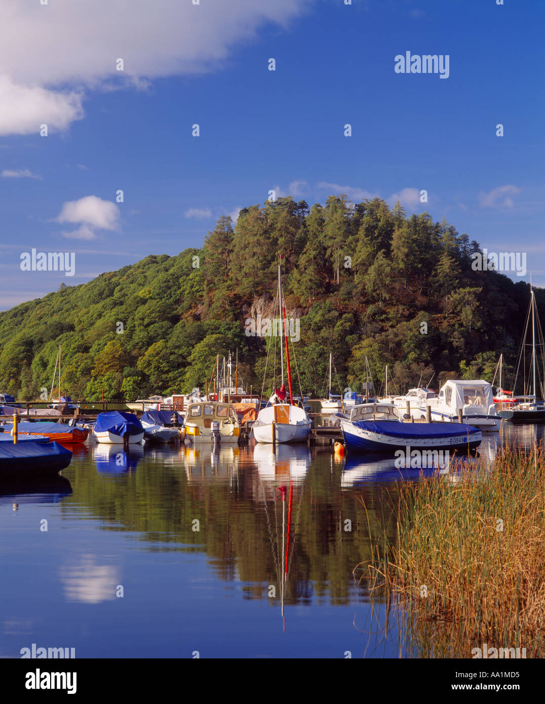 Inchcailloch island hi-res stock photography and images - Alamy