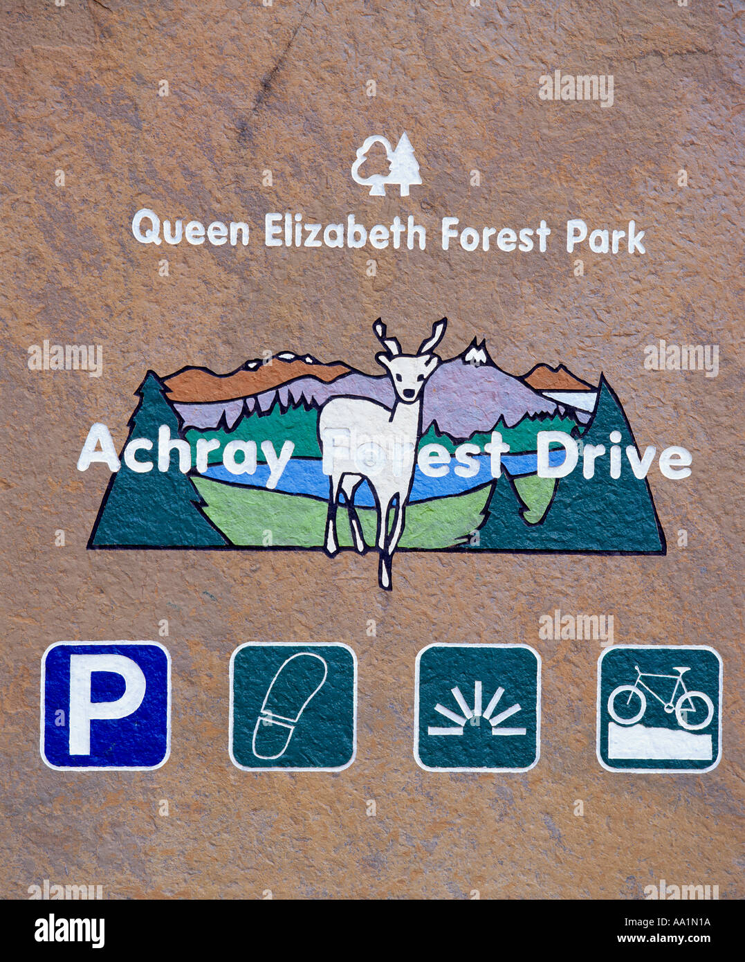 Queen elizabeth forest cycling hi-res stock photography and images - Alamy