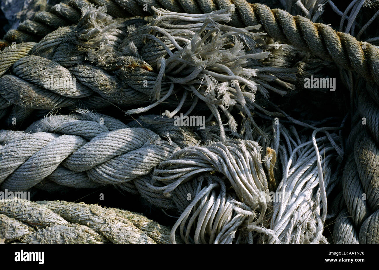 Broken manila rope strands Stock Photo - Alamy