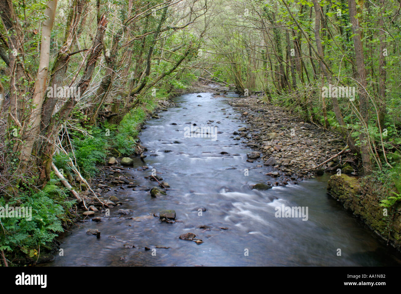 Cwm Clydach Rspb Reserve High Resolution Stock Photography and Images ...