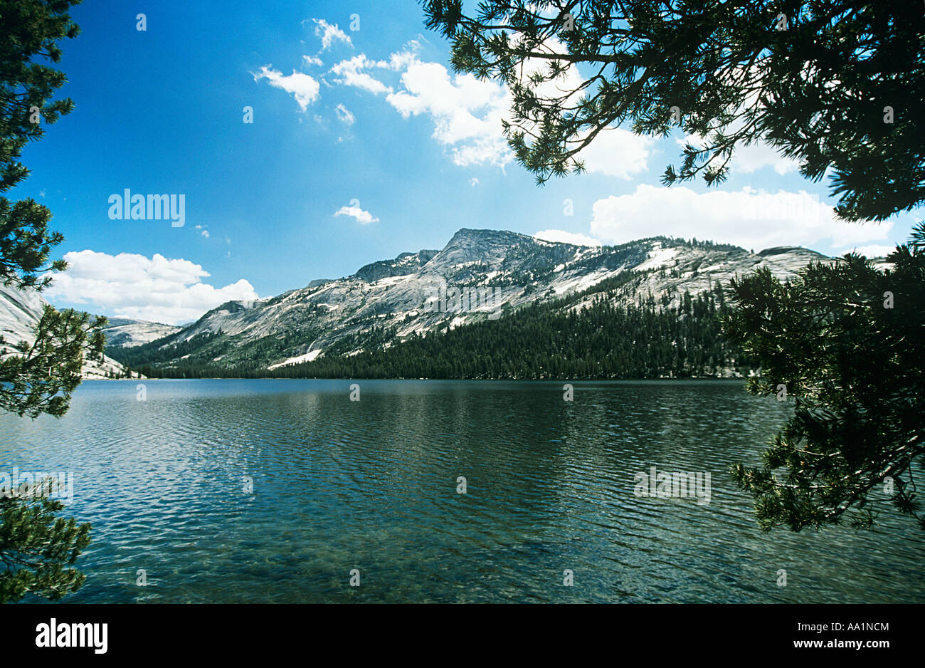 Tenaya lake yosemite Stock Photo - Alamy Tenaya lake yosemite Stock Photo - Alamy