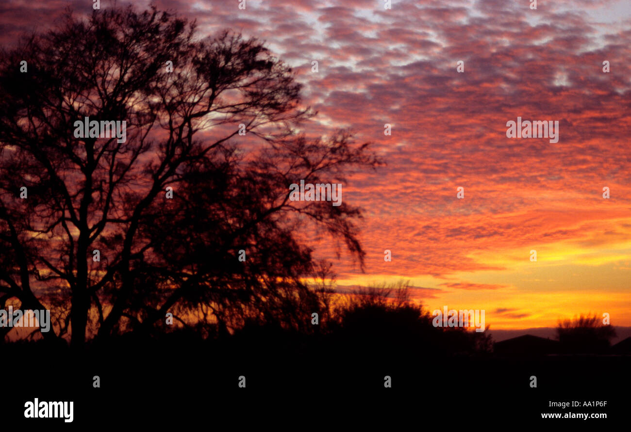 Sunsetting on an English October evening Stock Photo - Alamy