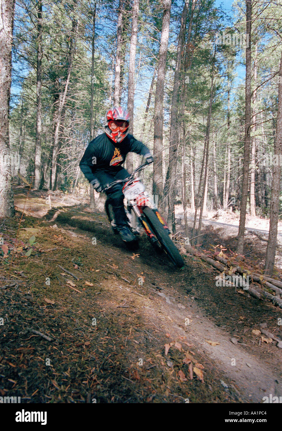 mountain biker riding down trail Stock Photo - Alamy