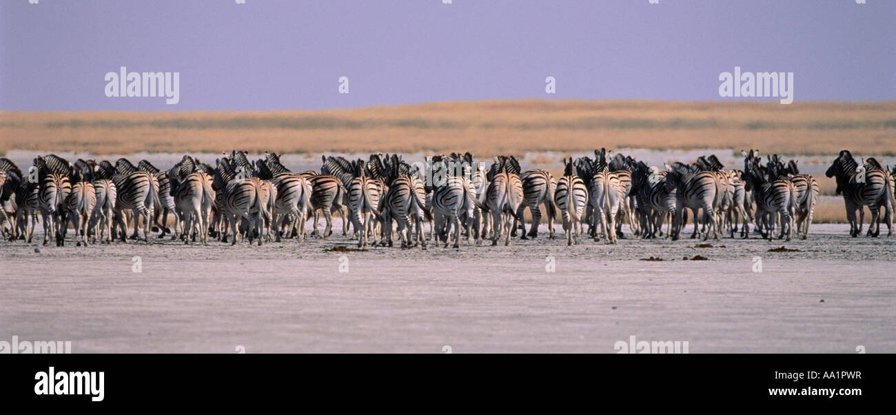 Botswanan people hi-res stock photography and images - Alamy
