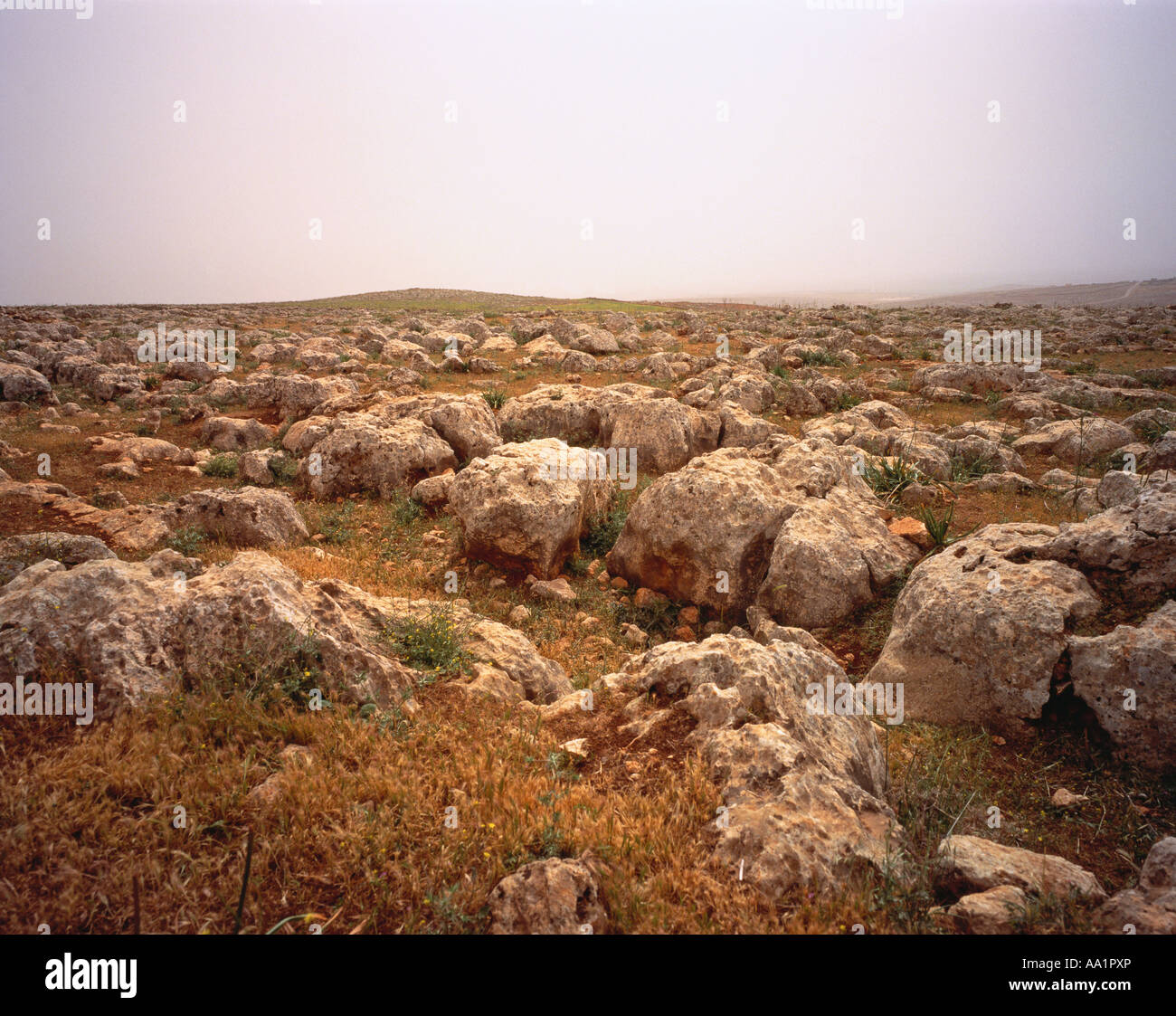 Rocks in Field near Jerada Ruins, Syria Stock Photo - Alamy