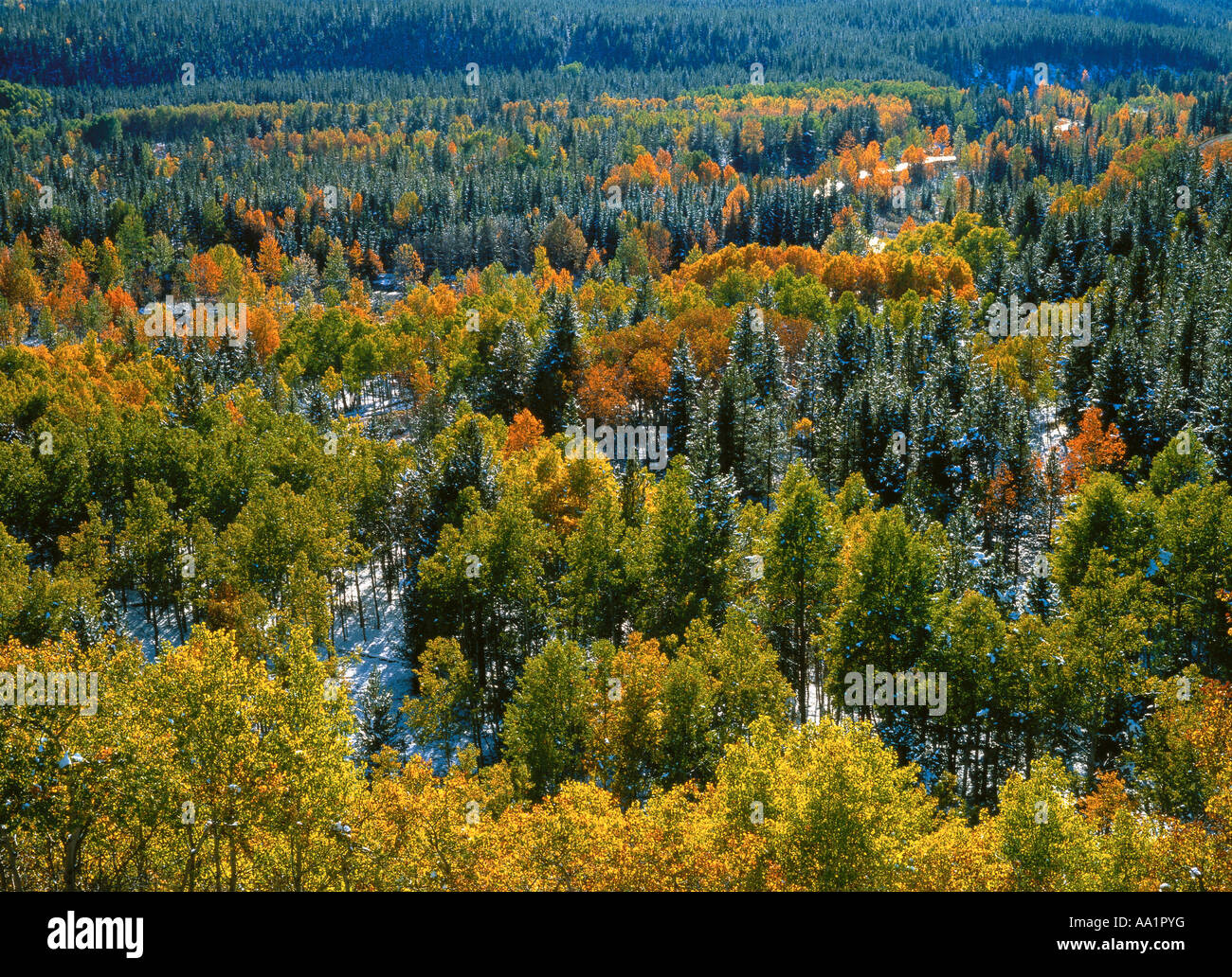 Autumn kananaskis country alberta hi-res stock photography and images ...
