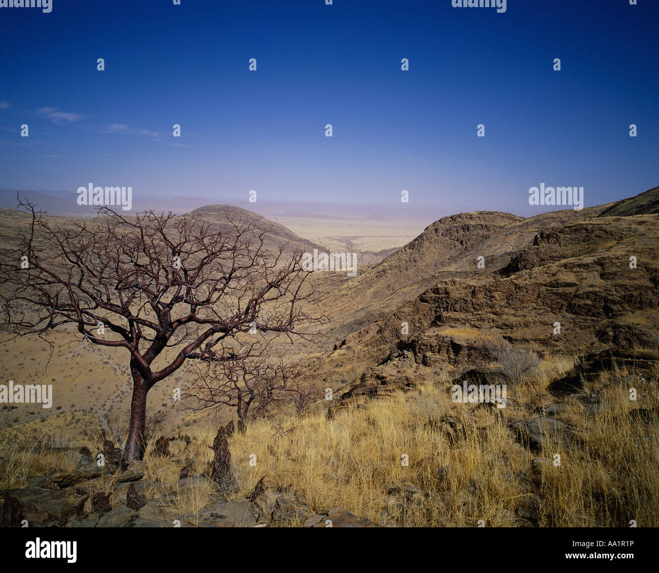Van Zyl's Pass, Towards Marienfluss Valley, Kaokoland, Namibia Stock ...