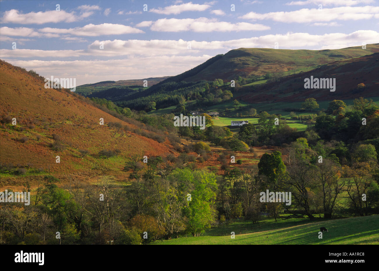 Autumn Scaur Valley Stock Photo - Alamy