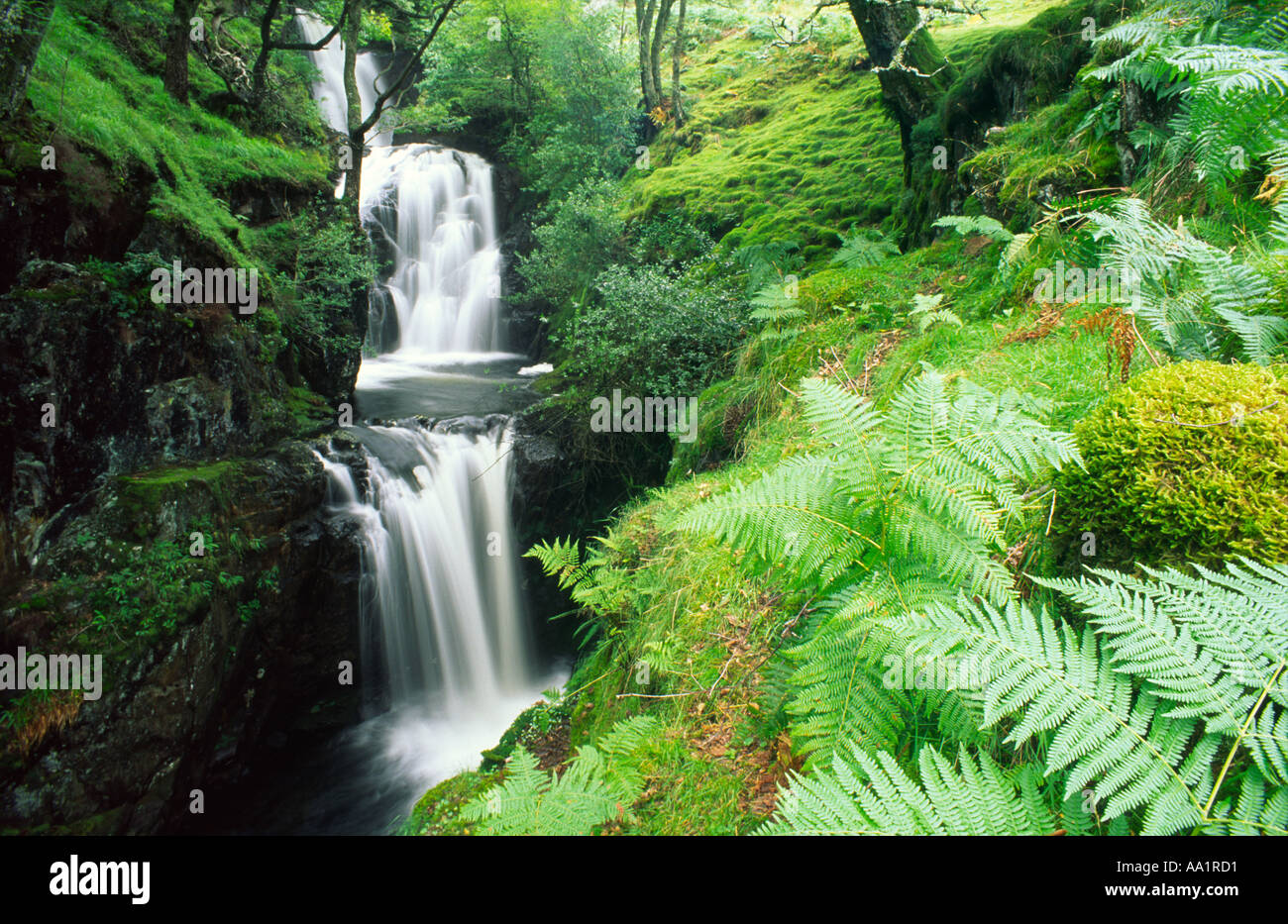 Waterfall Buchan Burn in the Galloway Forest Park Stock Photo - Alamy