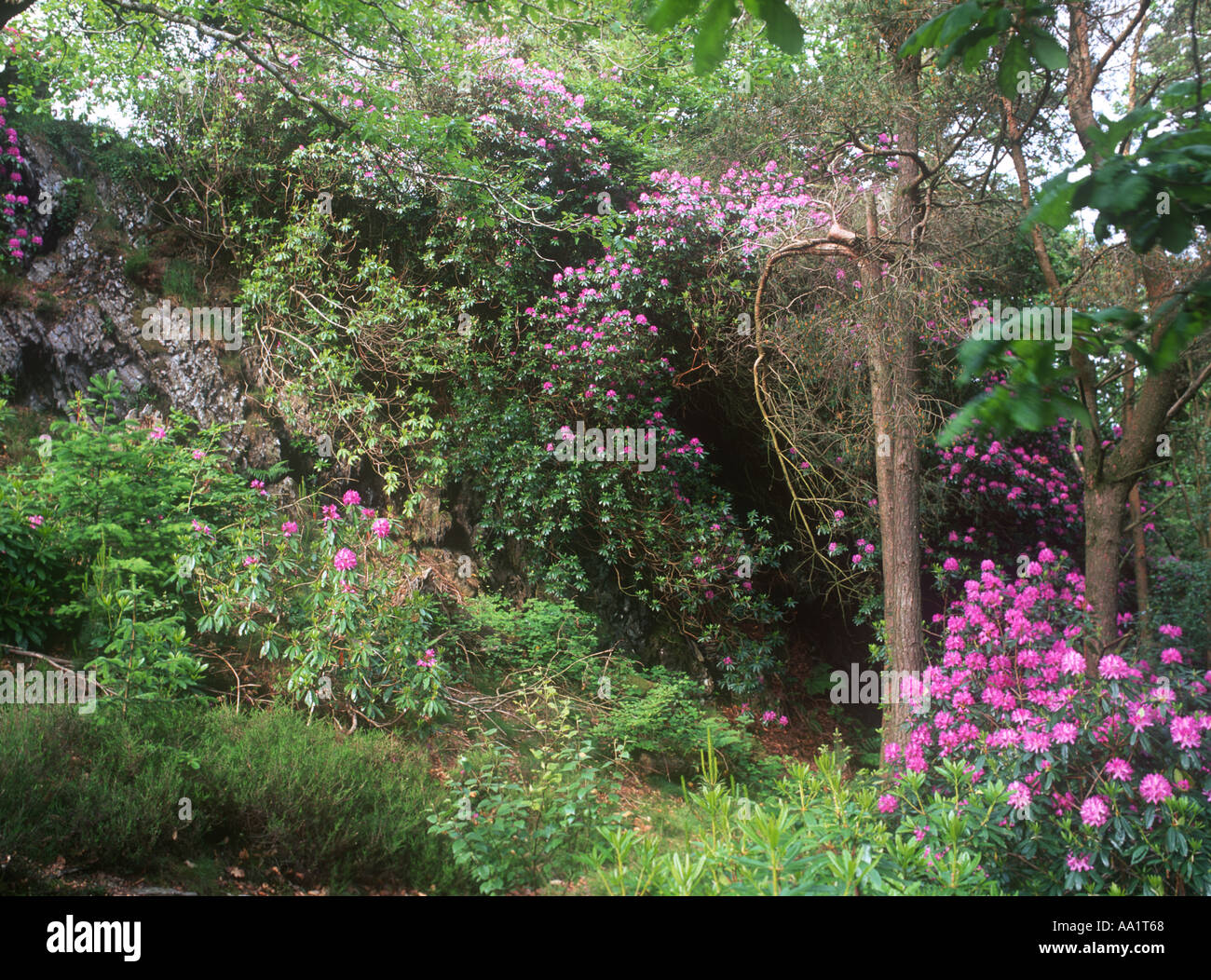Hafod estate hi-res stock photography and images - Alamy