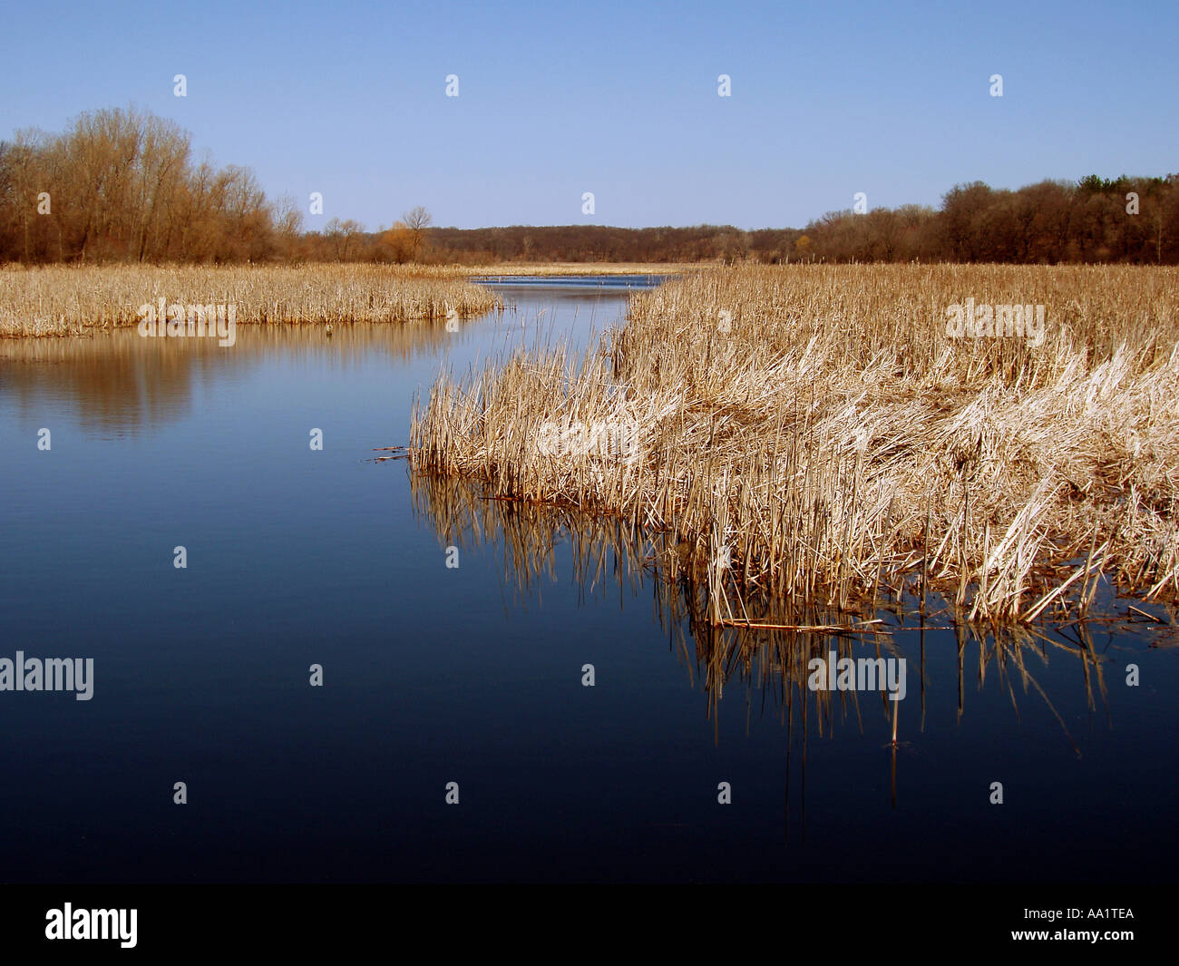 Midwest Marsh USA Stock Photo - Alamy