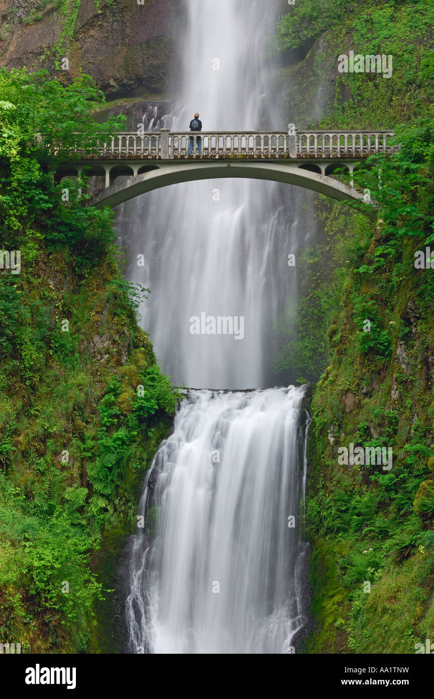 Multnomah Falls, Columbia River Gorge National Scenic Area, Oregon, USA ...