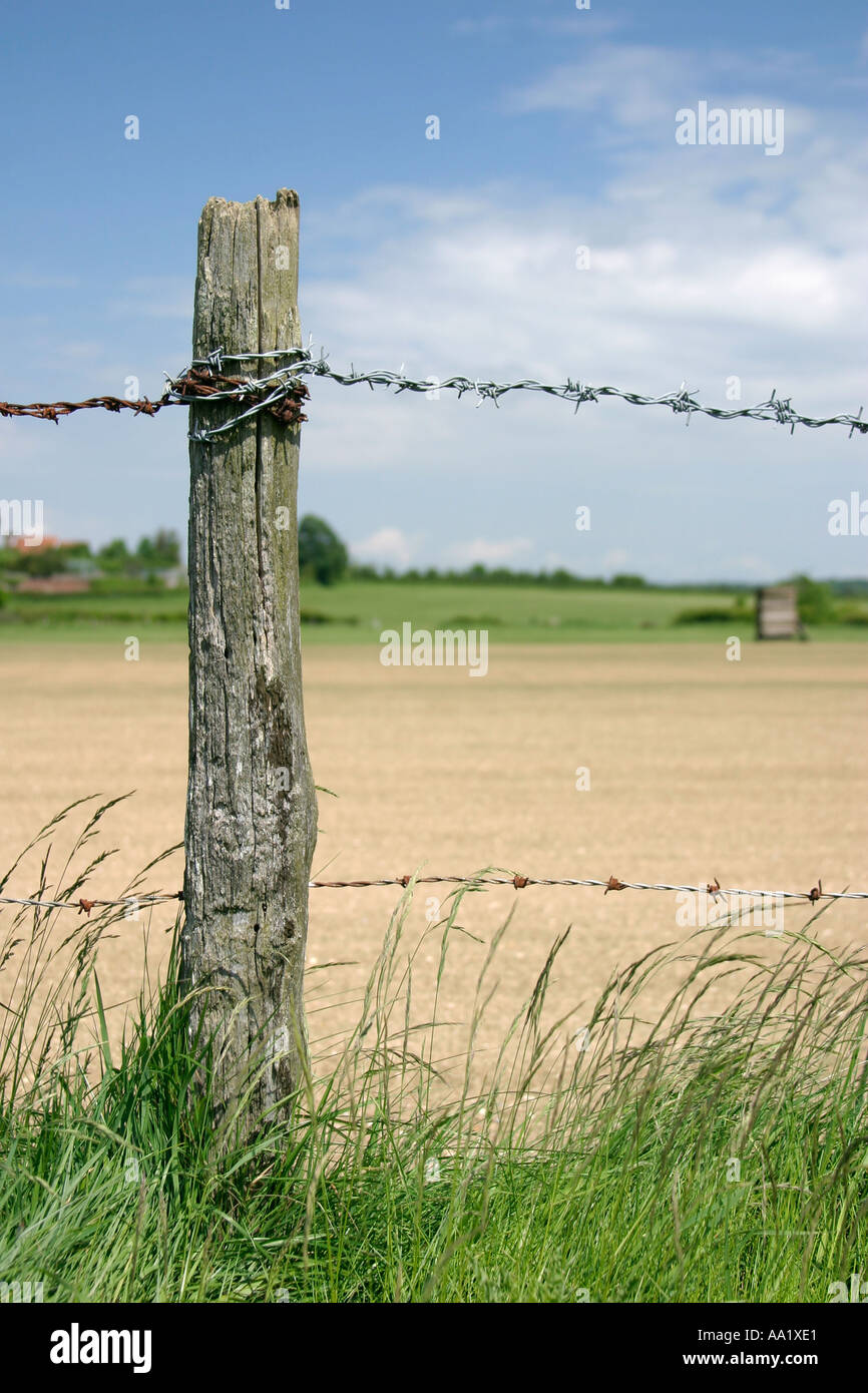 Barbed Wire Fence Stock Photo - Alamy